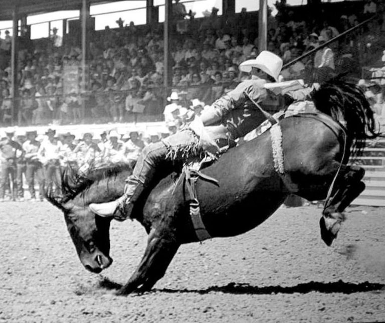 Chris LeDoux Nearly Lost His Life in ‘Stampede’ – And It Wasn’t Just a ...